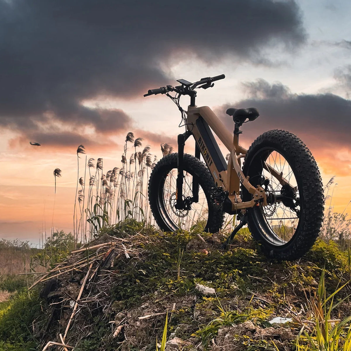 A Closer Look at the Unstoppable Power of the Bikonit Warthog – E-Wheel ...