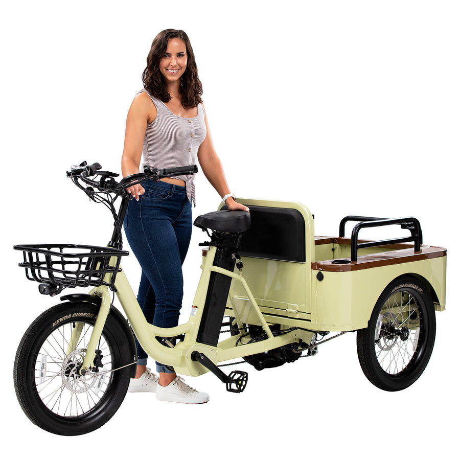 Oh Wow Cycles Conductor Plus Rickshaw Cargo Electric trike – E-Wheel ...