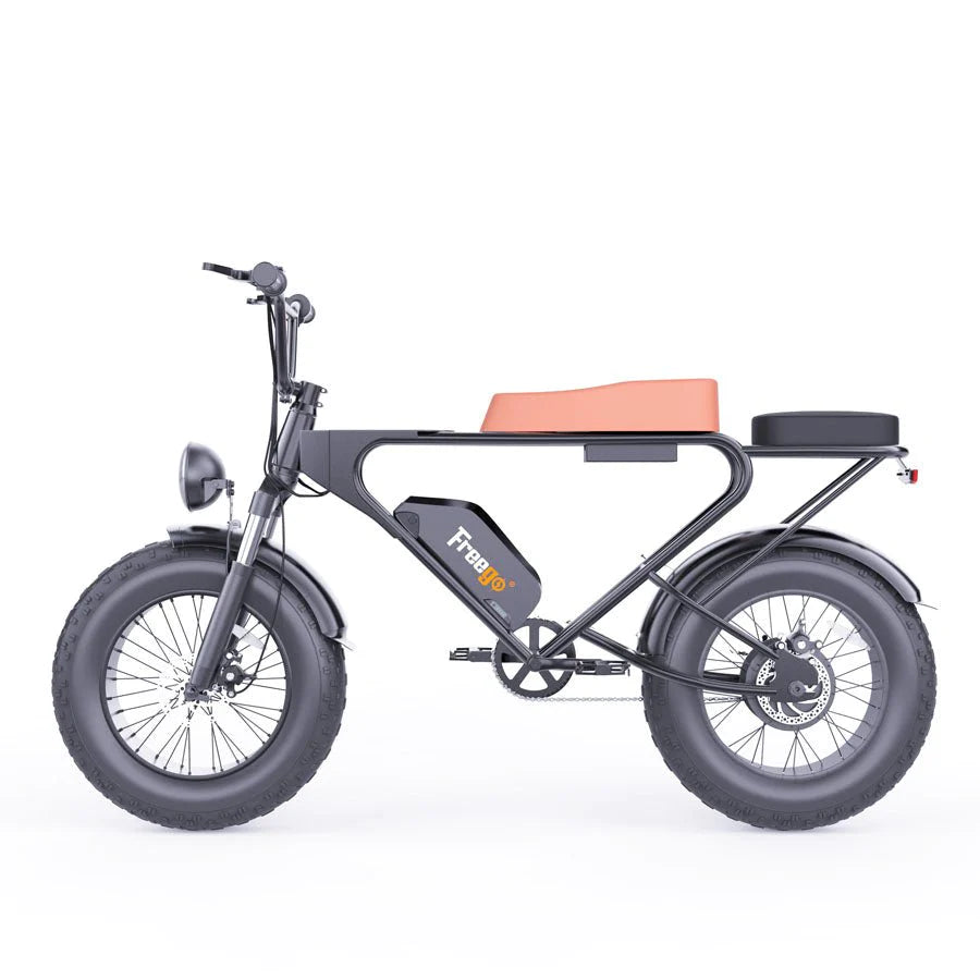 Freego DK200 Off Road Mountain Electric Bike 20'' Fat tires 1200W Powe ...